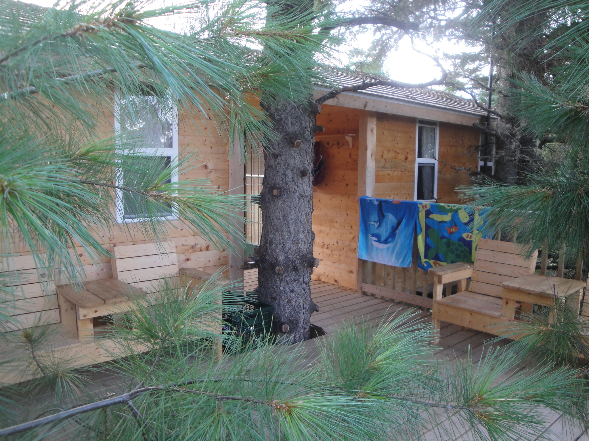 Sleeping in a Treehouse